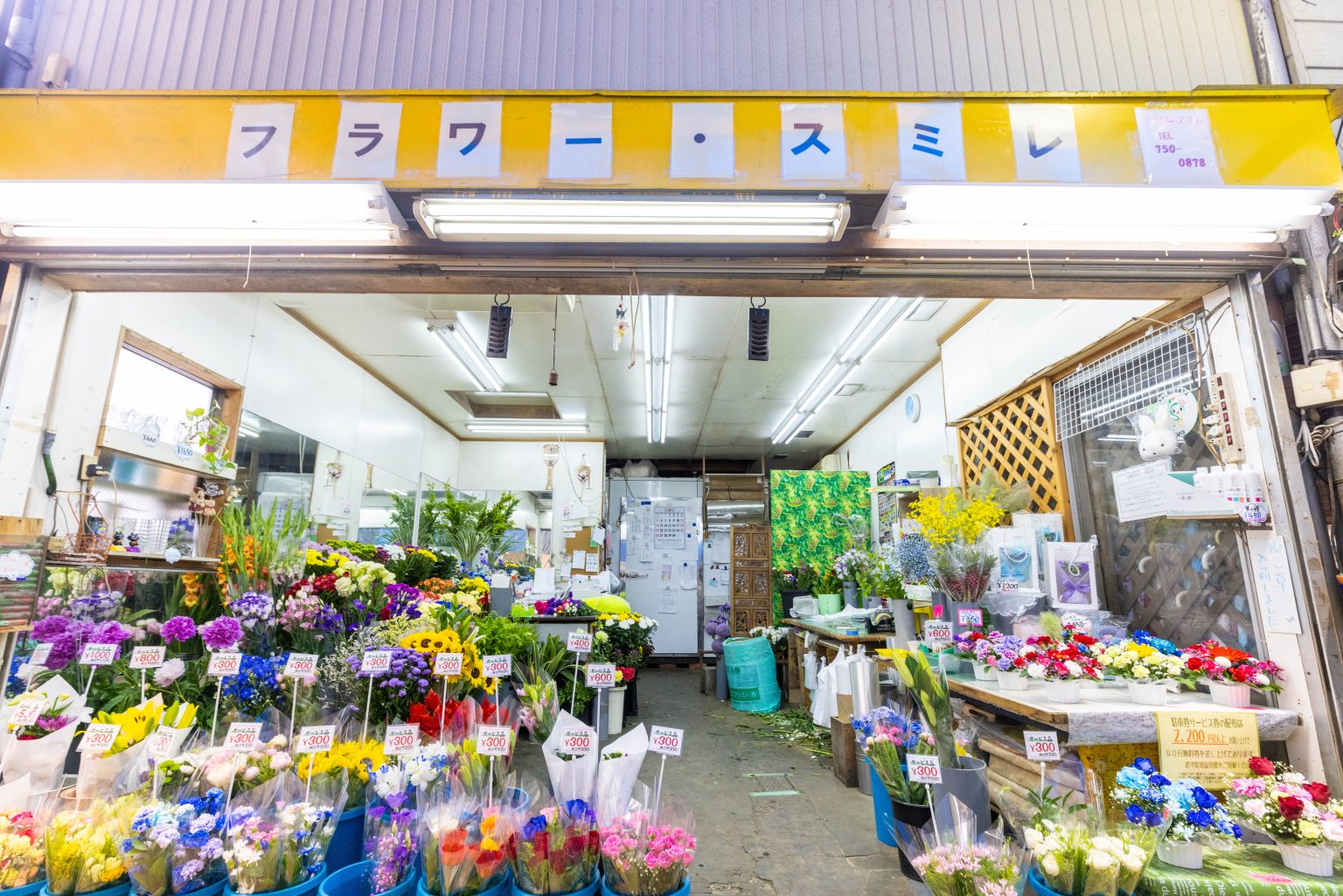 店舗 – 浜マーケットー懐かしくてあたたかいレトロな商店街「浜マーケット」公式サイト